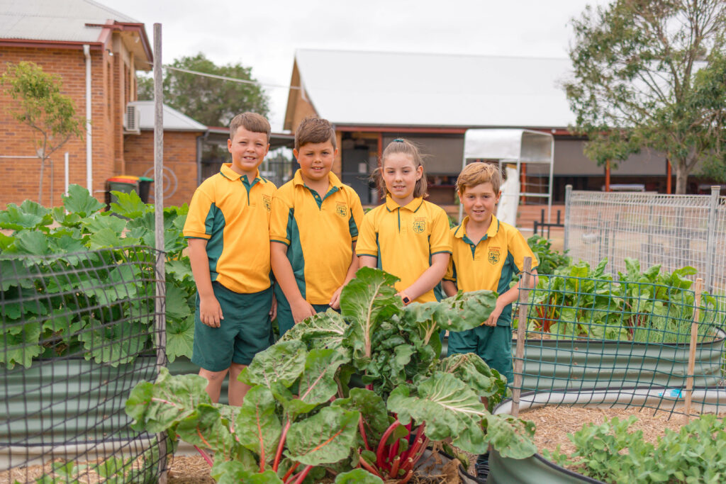 St Joseph's Primary School | Catholic Schools Maitland-Newcastle