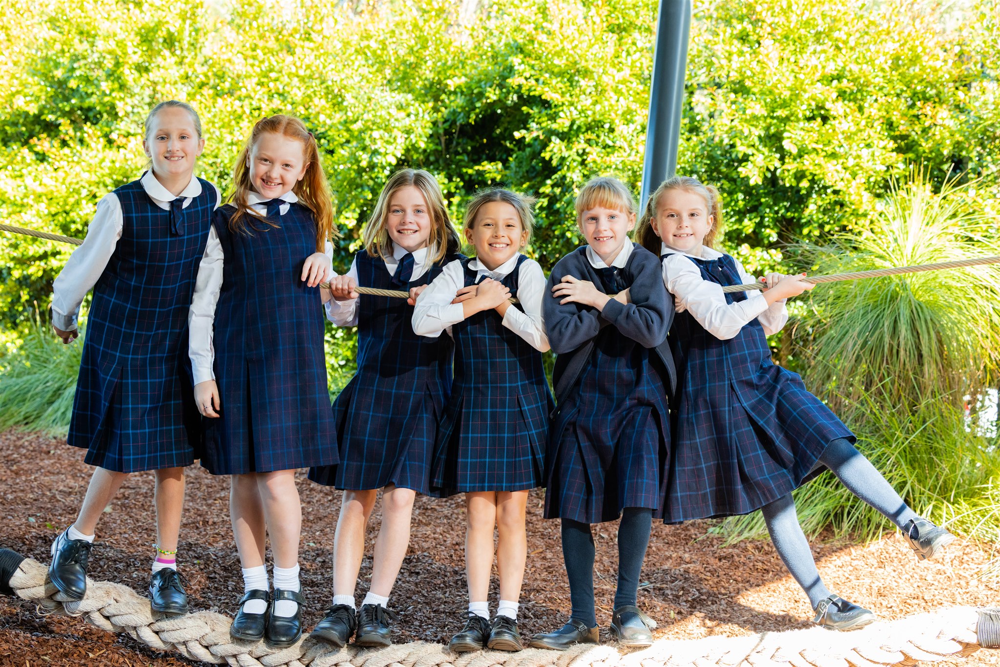 Search Maitland-Newcastle Catholic Schools