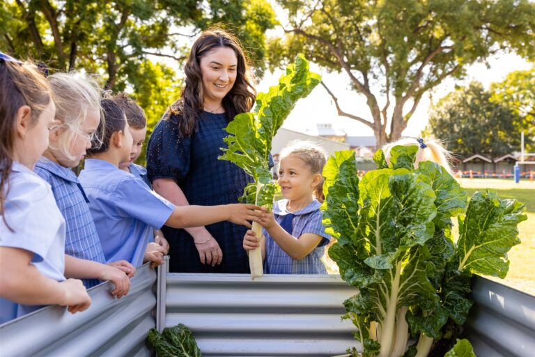 Catholic Schools Maitland-Newcastle
